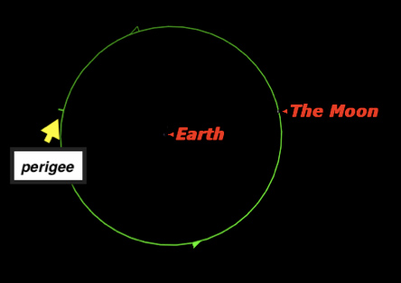 Starry Night® Times - October 2010