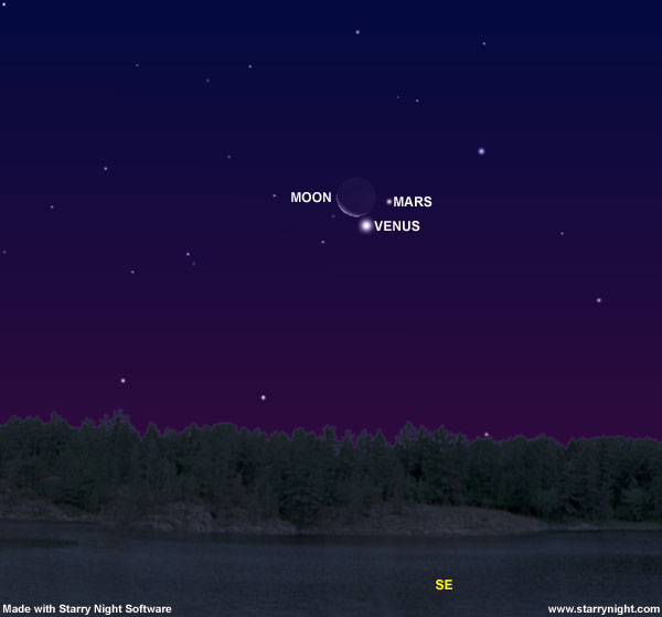 Starry Night This Week