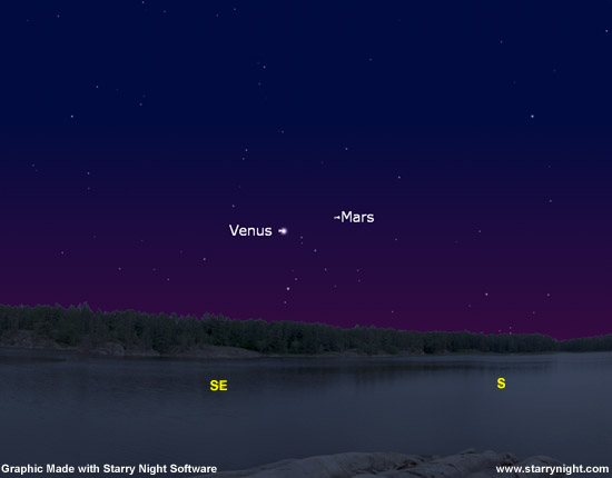 Starry Night This Week