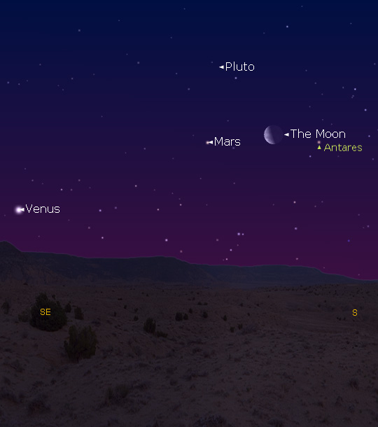 Starry Night This Week