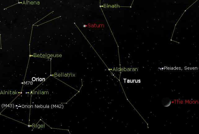 Starry Night This Week