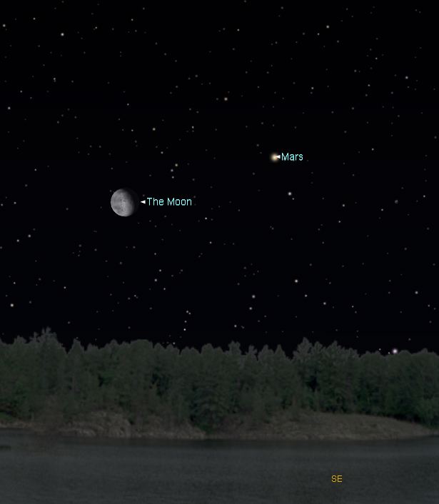 Starry Night This Week