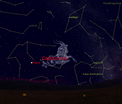 Starry Night This Week