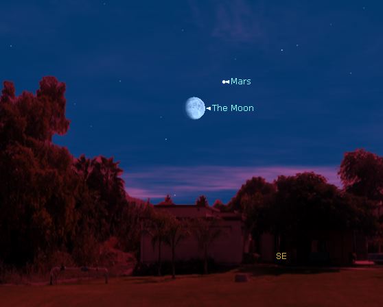 Starry Night This Week