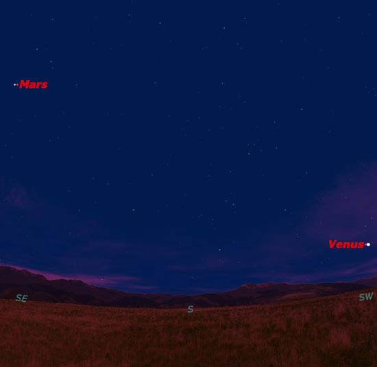 Starry Night This Week