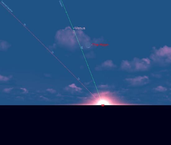 Starry Night This Week