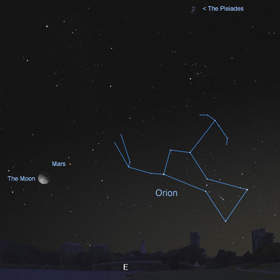 Starry Night This Week