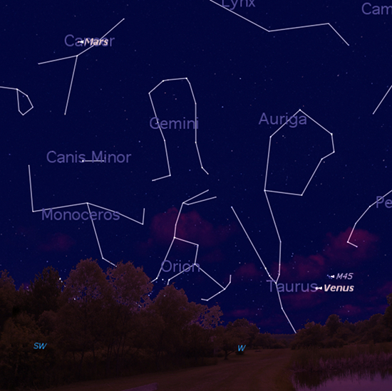 Starry Night This Week